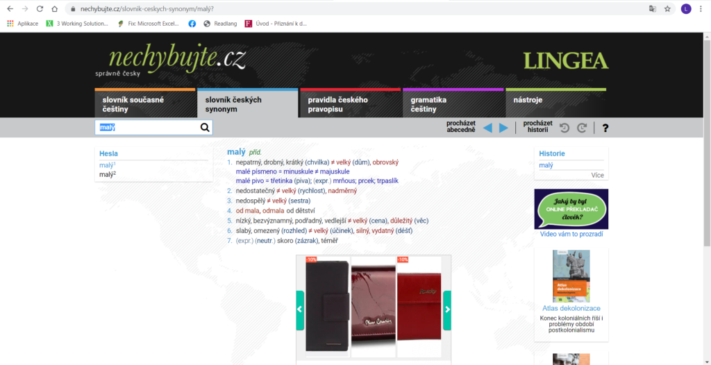 Jaký český slovník si vybrat? | Czech Time